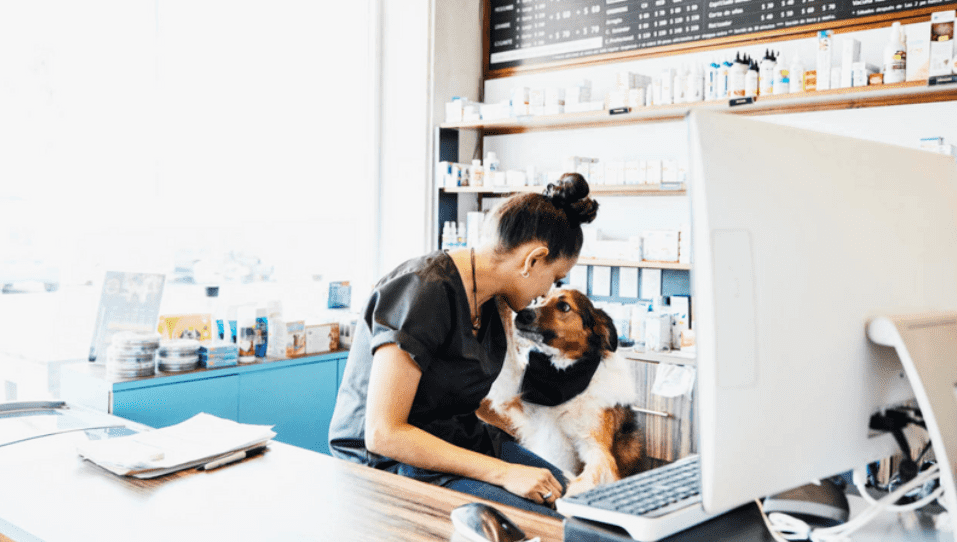 VizyPay I Virtual Options